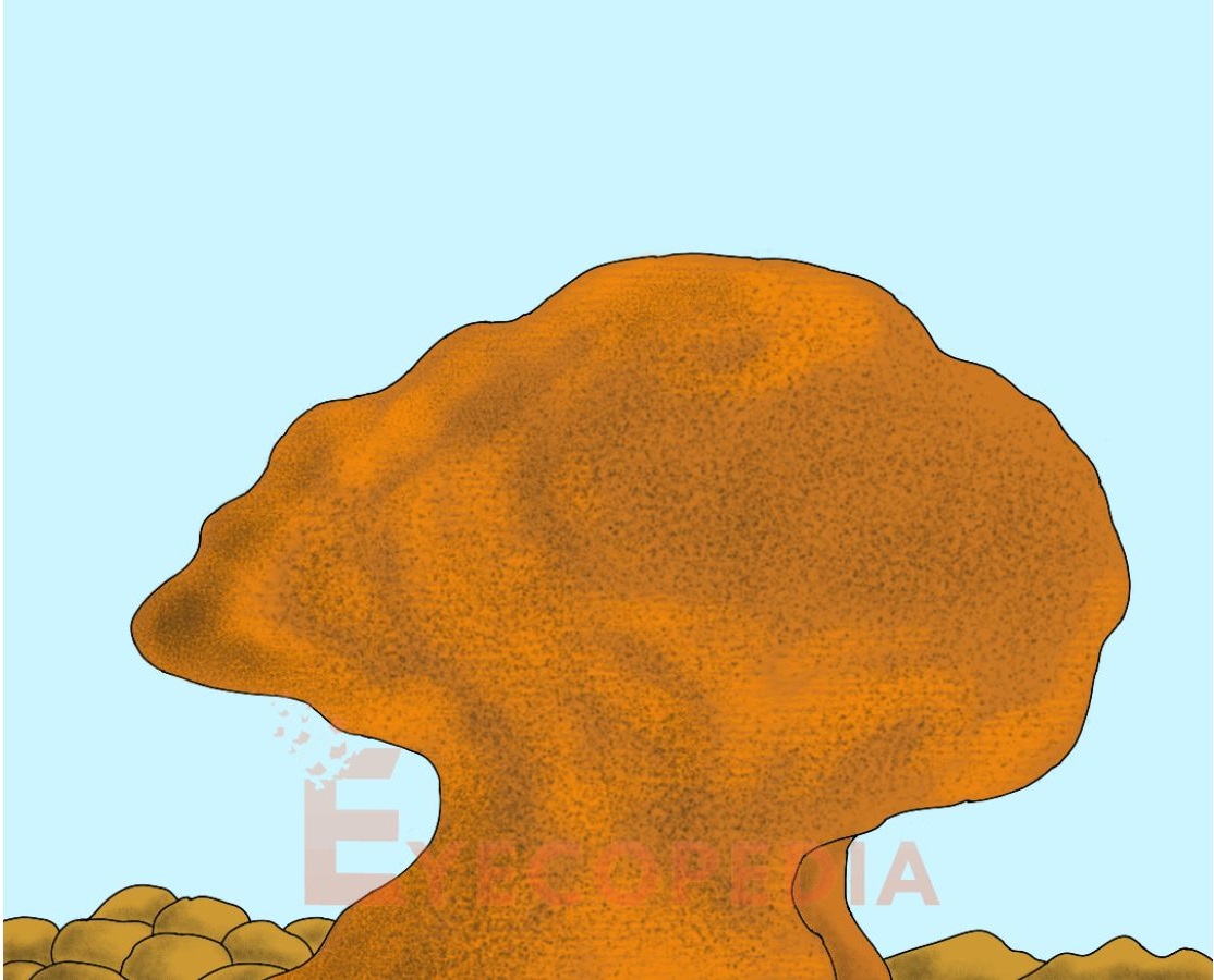 গৌর বা গারা কাকে বলে ও বৈশিষ্ট্য